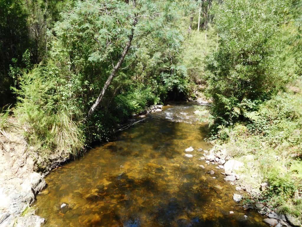 Tanjil River | The Ultralight Hiker