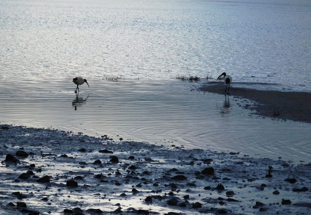 Anderson’s Inlet: | The Ultralight Hiker