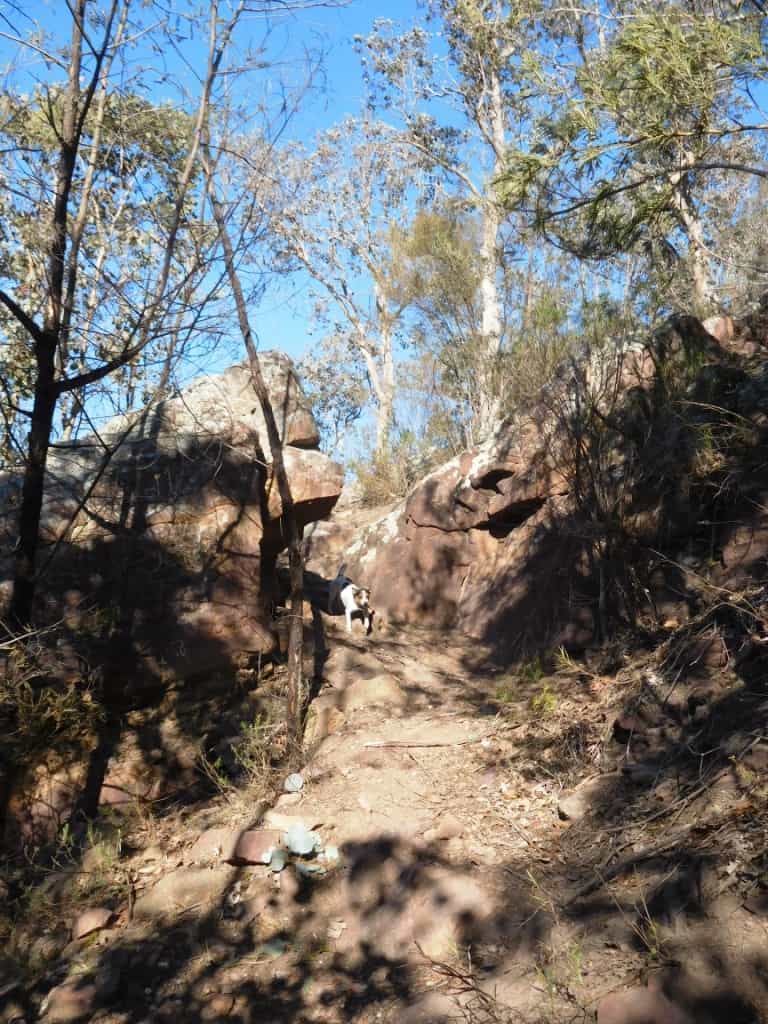 Avon River Walking Track | The Ultralight Hiker