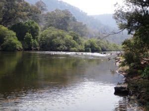 Marvelous Mitchell River Day 1 | The Ultralight Hiker